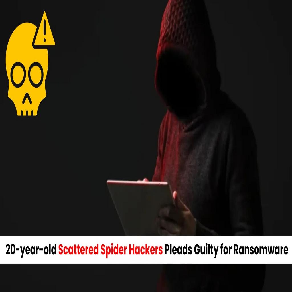 Joven hacker de 20 años del grupo Scattered Spider se declara culpable ...